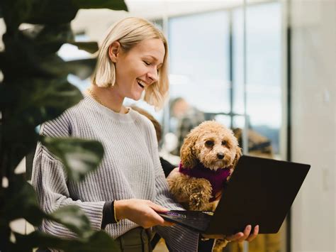 Wordpress Hosting Blitzschnell And 50 Rabatt Raidboxes®