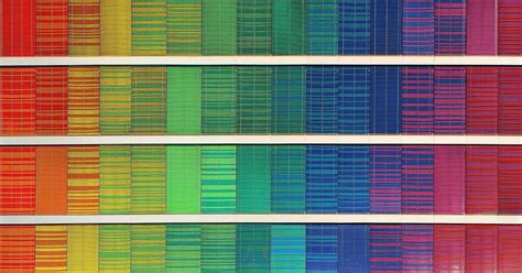 Risk Reporting Best Color Palettes For Data Visualization
