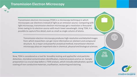 Analytical Testing Services Pdf