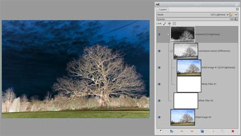Gimp How Do You Invert Gray Values In An Image But Leave Colors