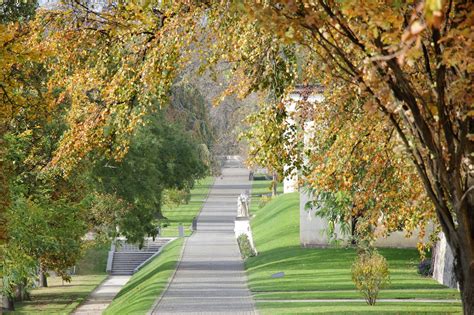 The Park Autumn Leaves Free Photo On Pixabay Pixabay
