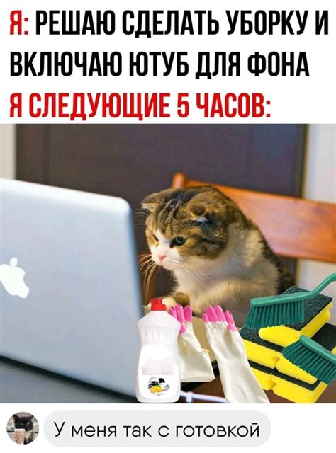 Мемный папка 2024 | ВКонтакте