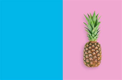 녹색 잎이 있는 신선한 전체 파인애플 하나는 부엌에 두 배 색깔 분홍색과 파란 테이블에 누워 있습니다 평면도 요리 개념입니다 텍스트의 공간 복사 0명에 대한 스톡 사진 및