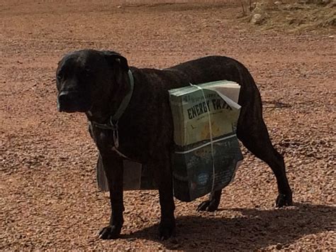 The 30th Anniversary Pre Fair Guide Released Midwest Renewable