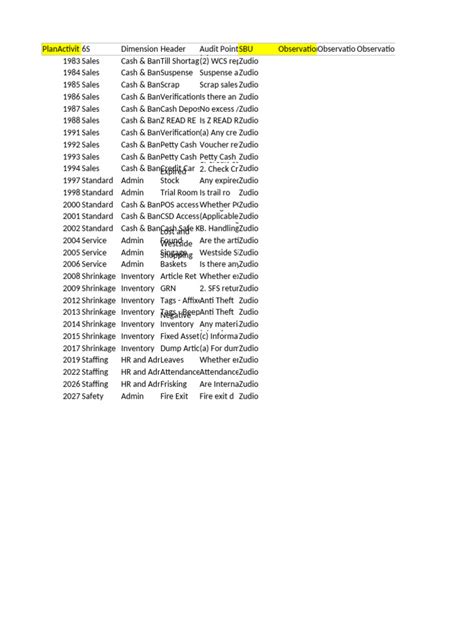 Sample Observation Audit Pdf Computer Security Security