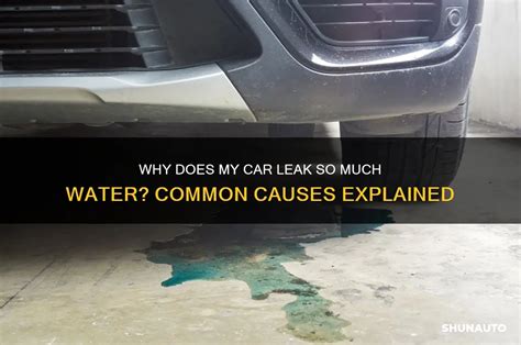 Why Does My Car Leak So Much Water Common Causes Explained Shunauto