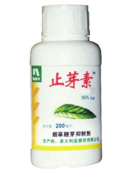 纽发姆中国