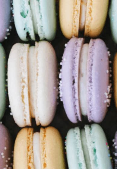 Macaron Classes Austin Classbento