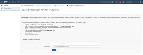 Deploy OneAgent On SAP Business Technology Platform For Application