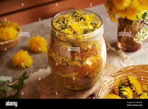 Preparation Of Dandelion Syrup From Fresh Flowers And Brown Sugar In A