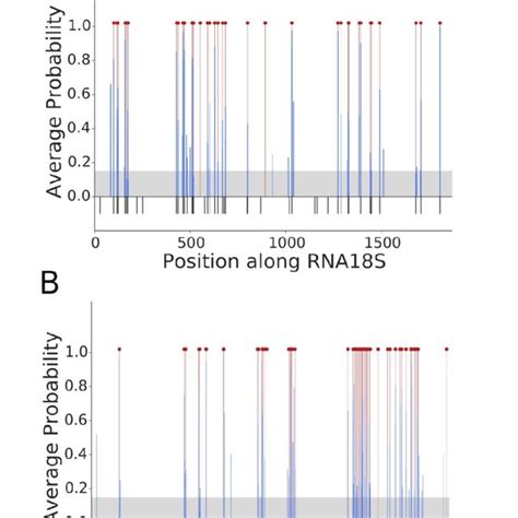 Development Of A Model For The Inference Of Snorna­target Interactions Download Scientific