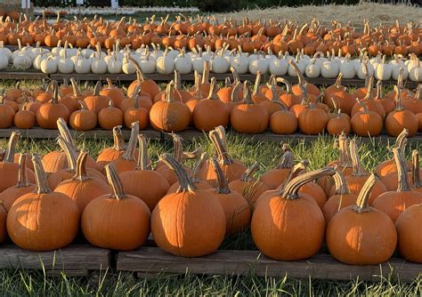 Eileen Brewer Akin Realtor Eileen Brewer Akin Realtor