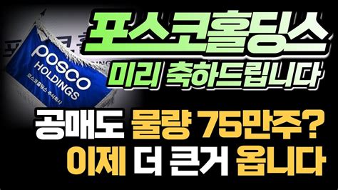 포스코홀딩스 쩜상 미리축하드립니다 Posco홀딩스 포스코홀딩스주가전망 포스코케미칼주가 포스코홀딩스종목분석 포스코