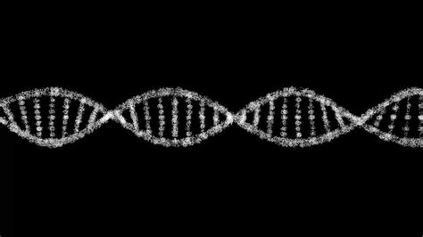 Premium Photo 3d Dna On Black Bg Object Dissolved Flickering Particles Scientific Medical