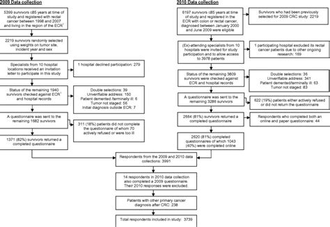 Quantifying Fatigue In Long Term Colorectal Cancer Survivors A Study
