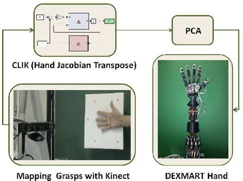 Figure 1 From A Model Based Strategy For Mapping Human Grasps To Robotic Hands Using Synergies