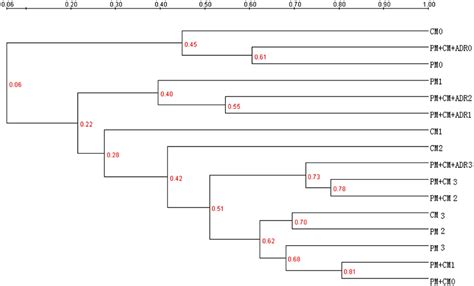 Comparison Of Bacterial Community Structure And Dynamics During The Thermophilic Composting Of