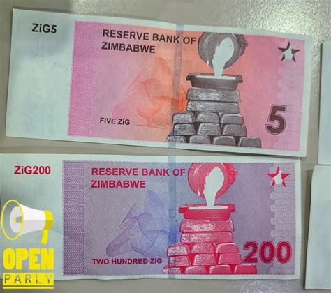 John Mushayavanhu Dumps Rtgs Introduces Zig Open Parly Zw