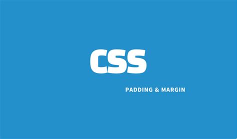 Css Padding과 Margin차이를 알아보기