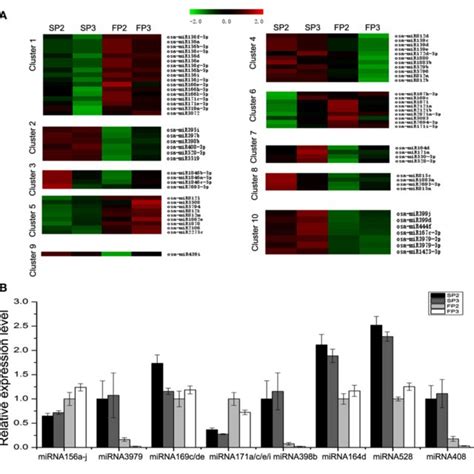 Differential Expression Analyses Of Known Mirnas A Clustering