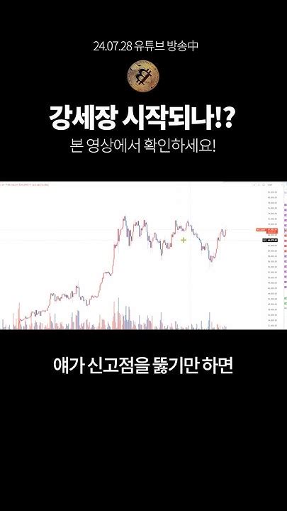 강세장 시작되나 비트코인 상승장 알트코인 알트장 Youtube