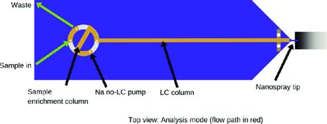 Schematic Of How A Nano Lc System Note That The System Is Made Up Of