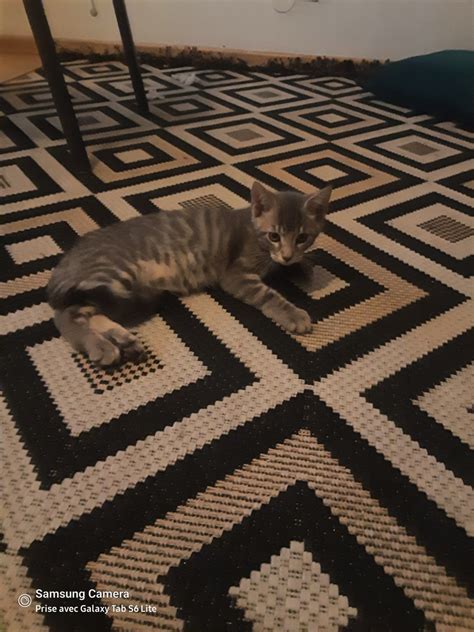 Pinterest In 2025 Cute Disney Wallpaper Cute Wallpaper Backgrounds