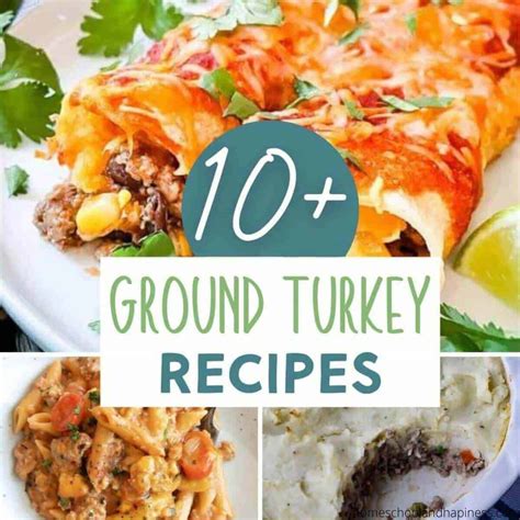 13 Ground Turkey Recipes That Wont Break The Bank