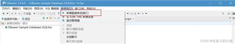 Dbeaver通用数据库管理 连接dm8 数据库及其配置dbeaver连接dm8 Csdn博客