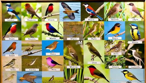 Discover 10 White Birds In Florida Id Guide With Photos