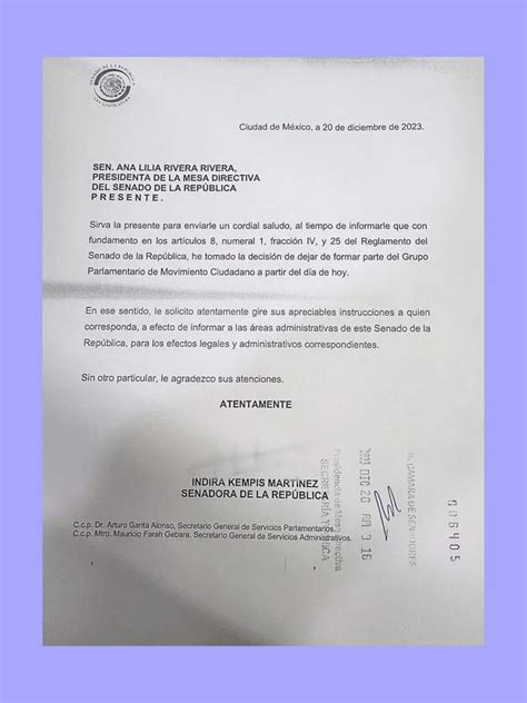 Senadora Indira Kempis Sale De Movimiento Ciudadano Tras Conflicto Por
