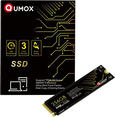 QUMOX Unità a stato solido interna PCIe NVMe M 2 SSD da 256 GB