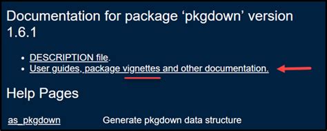 Installation How To Install R Package With Its Vignettes From Source