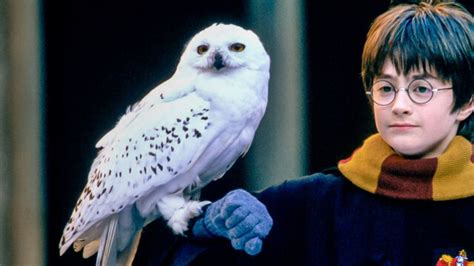 Ο ΧΑΡΙ ΠΟΤΕΡ ΚΑΙ Η ΦΙΛΟΣΟΦΙΚΗ ΛΙΘΟΣ Harry Potter And The Philosophers