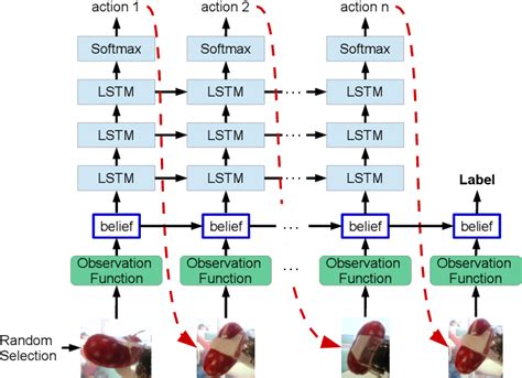 Belief Tree Search For Active Object Recognition