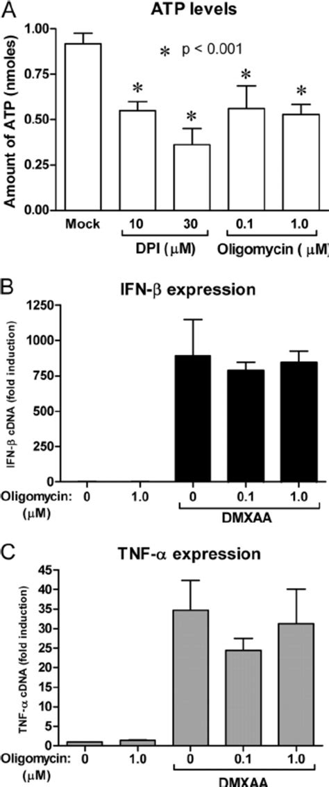 Dpi Inhibits Atp Levels Within The Cell But Dmxaa Signaling Occurs