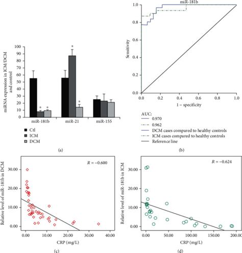 Microrna 181b Serves As A Circulating Biomarker And Regulates