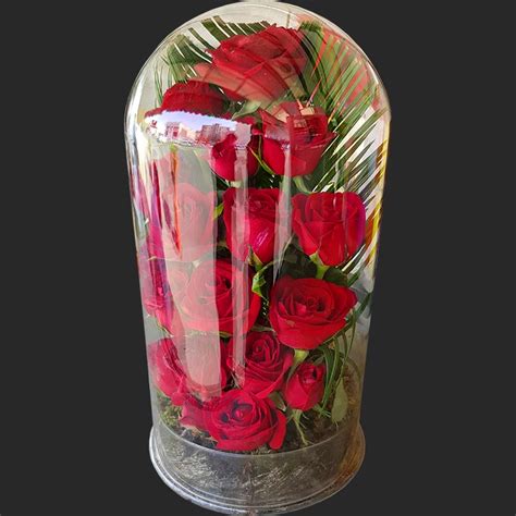 جام گل لاکچری بزرگ رز قرمز 15 شاخه استوانه ای