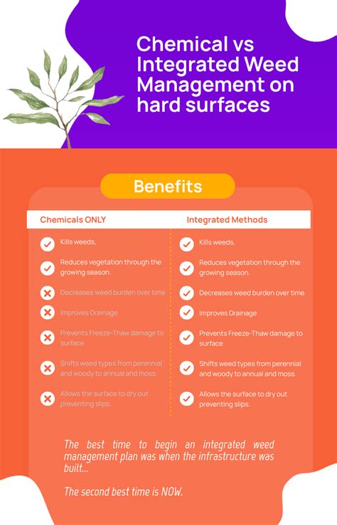 Chemical Vs Integrated Weed Management