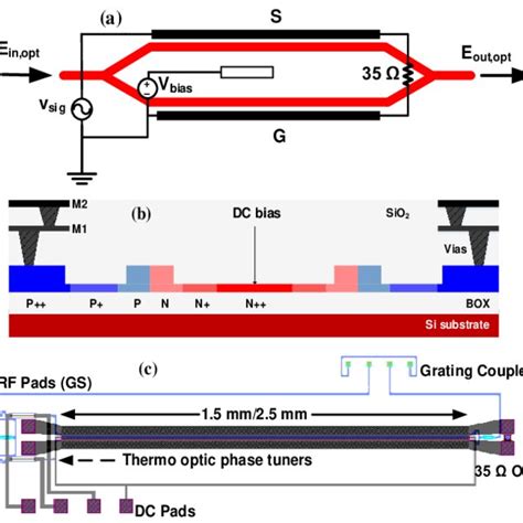 A Tw Mzm Top View Schematic B Spp Mzm Cross Section Box Buried Download Scientific