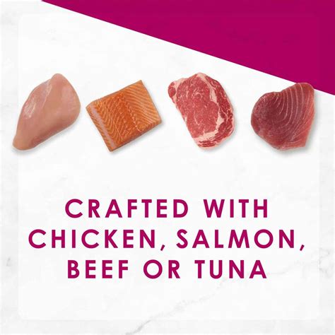 Purina Fancy Feast Pate Wet Cat Food Variety Pack Savory Centers Pate