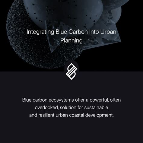 Integrating Blue Carbon Into Urban Planning → Scenario