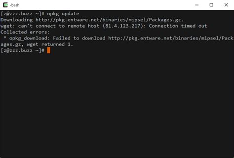 在路由器上部署 shadowsocks