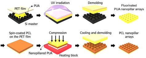 Fabrication Of Nanostructured Polycaprolactone Pcl Film Using A Thermal Imprinting Technique