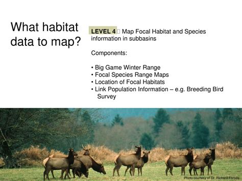 Ppt Habitat Mapping Of High Level Indicators At Multiple Scales For