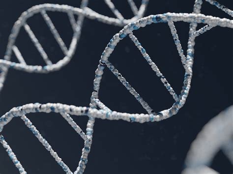 DNA I Biology Visionlearning