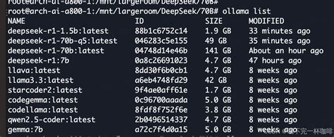 【ai时代】使用ollama私有化部署deepseek R1系列模型的过程及问题记录error Timed Out Waiting For