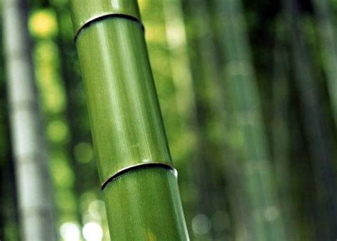 道德經傳家版如何理解功遂身退天之道也 每日頭條