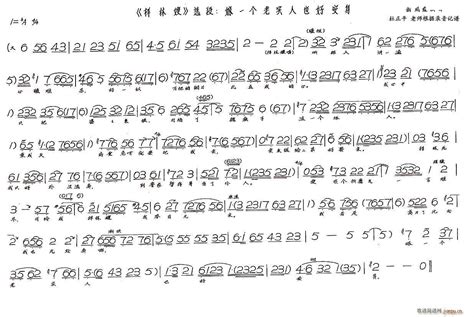 嫁一个老实人也好安身祥林嫂 歌谱简谱网