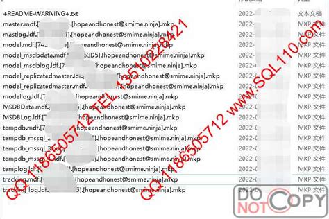 mkp勒索病毒解密恢复 服务器中 mkp勒索病毒恢复 ERP数据库中毒解密